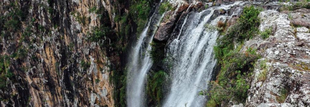 Ozone Pure Oil: Ozonated Oils | Organic Oils Australia